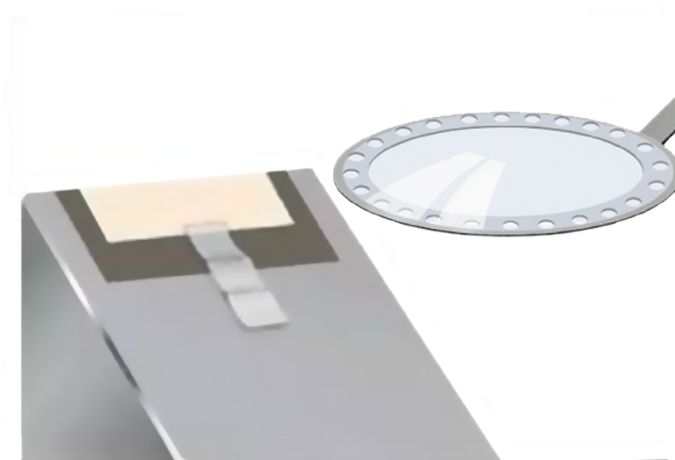 Achieve the Perfect Loop for Cryo Sectioning | DiATOME