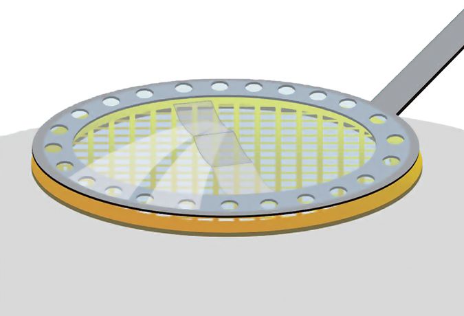 Achieve the Perfect Loop for Cryo Sectioning | DiATOME