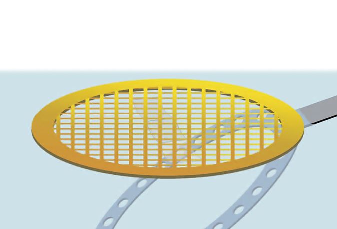 Achieve the Perfect Loop for Cryo Sectioning | DiATOME